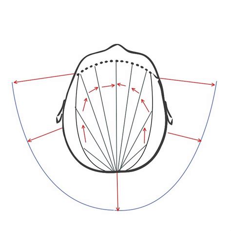 Hairdressing Head Sheets в Instagram Cut And Diagram Hairtechapp Head
