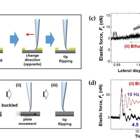 Nanopipettequartz Tuning Fork Atomic Force Microscope Qtf Afm A