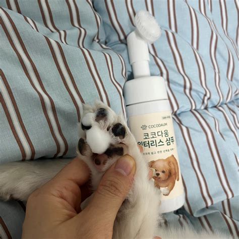코코다움 워터리스 샴푸 강아지 발세정제 산책 풋클렌저