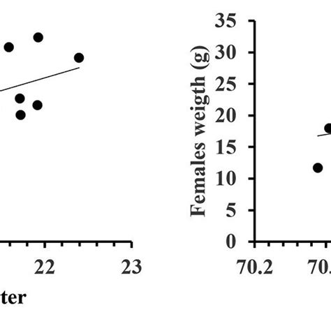 relationship between average female weight and latitude °s and