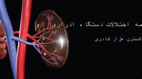 Urinary Tract Radiology Ppt