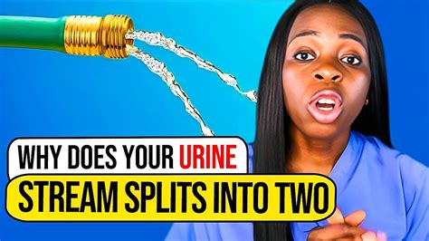 Causes Of Split Urine Why Does My Urine Split Into Two Youtube