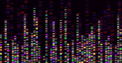 Researchers To Develop A Genomic Data Commons A Central Hub For