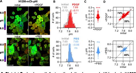 Figure 2 From Single Cell Intracellular Ph Measurements Reveal Cell Cycle Linked Ph Dynamics