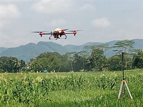 Pemdes Pegalongan Semprot Hama Wereng Pakai Drone