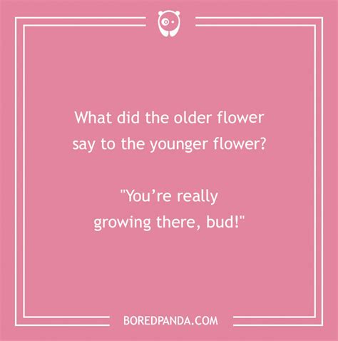98 Spring Jokes To Make You Shine And Bloom 🌼 Bored Panda