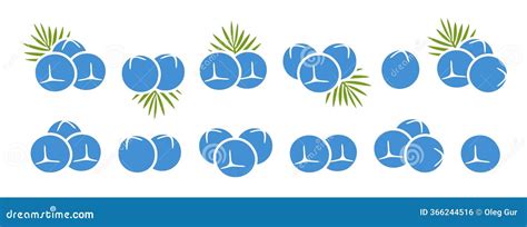 Juniper Logo Cartoon Vector 307805245