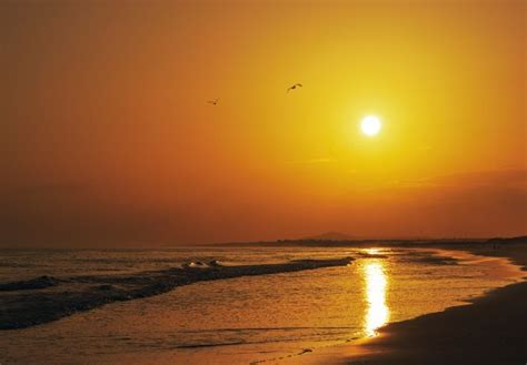 Free Images Glass Water Ocean Sun Sunrise Sphere Reflection Light Sky Morning Focus