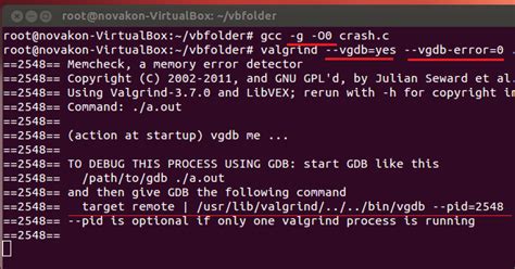 還在學 Linux 筆記 Valgrind Gdb
