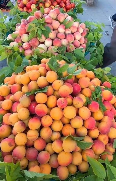Pin by Геннадий Петрович on Фрукты-овощи | Fruit garden, Exotic fruit ...