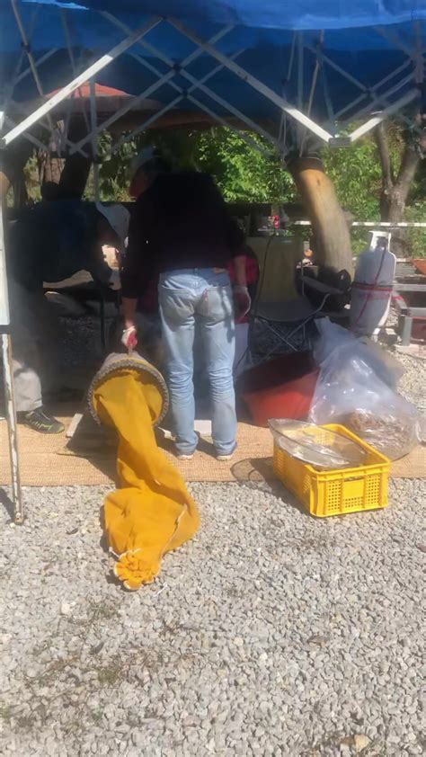 이 소리는 울 동네 작두형님이작두콩지기 박장현 형님의 별명 작두콩을 볶다가 동네 동생들의 성화로 쌀튀밥을 맹그는 뻥이요 소리입니다~ 무신 폭탄 터지는 듯한 뻥 소리에