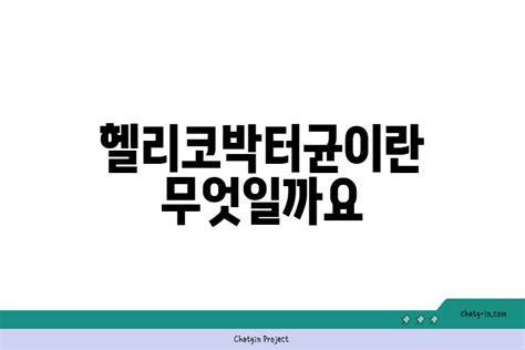 헬리코박터균 완벽 가이드 증상 원인 예방 및 치료까지 알아보세요