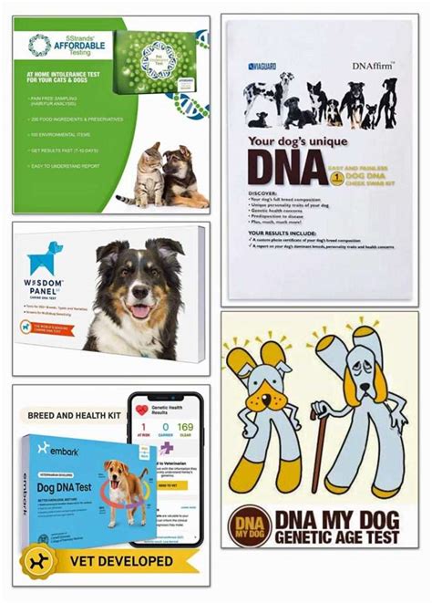 How Does Dog Genetics Work
