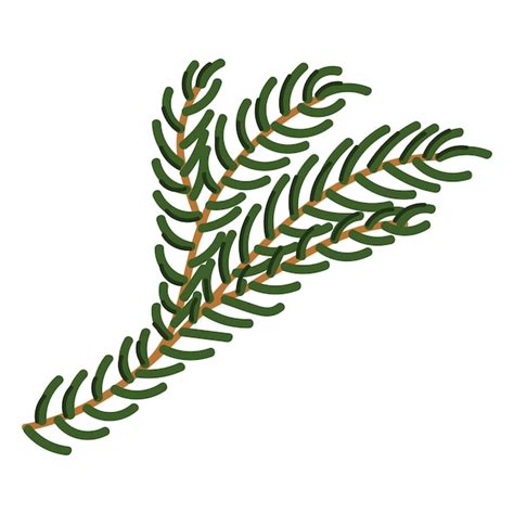Premium Vector Fir Branch Illustration