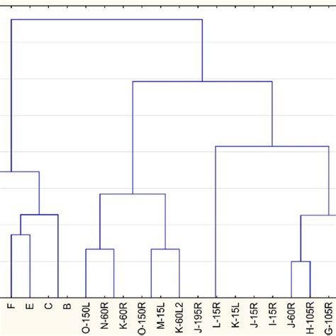 Cluster Analysis According To The Phenotypic Characteristics And