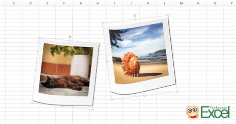 Select All Pictures In Excel Easy And Fast Methods