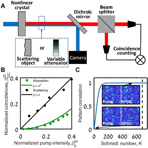 Quantum Versus Classical Efficiency A The Two Photon Coincidence