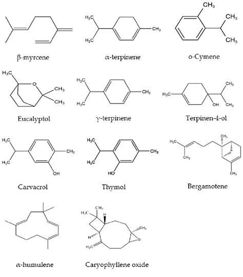 [pdf] Fabrication And Characterization Of β Cyclodextrin Mosla Chinensis Essential Oil Inclusion