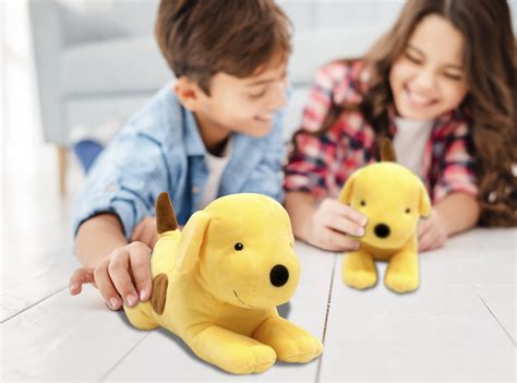 Fun With Spot — Commonwealth Toy And Novelty Co Inc