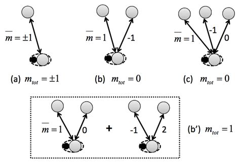 Color Online Illustration Of Angular Momentum Decomposition In The Download Scientific