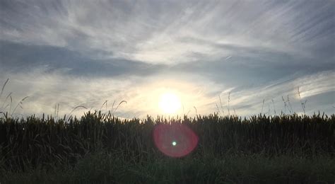 無料画像 自然 地平線 雲 空 日の出 日没 フィールド 太陽光 朝 風 夜明け 雰囲気 夕暮れ イブニング