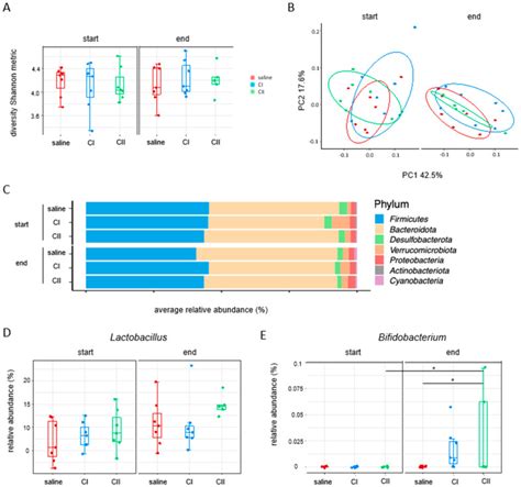Probiotic Administration Modulates Gut Microbiota And Suppresses Tumor