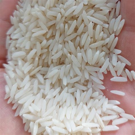 خرید و قیمت برنج طارم هاشمیخوش عطرو و پخت،کشت شده از شالیزارهای شمال
