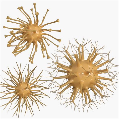 Viruses 3d Model 6 Blend Fbx Obj Free3d