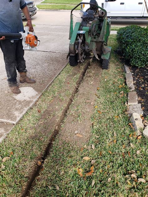 Root Barrier Installation Tree Solutions Of Texas Dallas