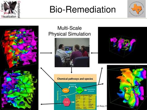 Computational Visualization Ppt Download