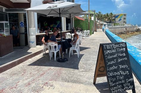 Tiny Gecko ~ Isla Mujeres Net