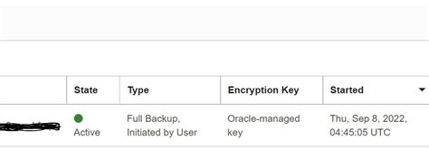 Oracle APPS DBA Pieces Upgrade Oracle Db To On OCI VM DB Systems