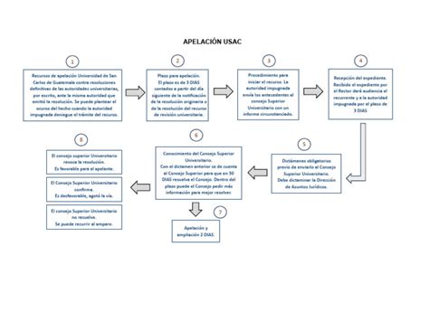 Esquema Apelación Usac Pdf