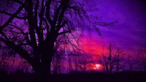 Lsl 08 By Lordshadowlion On Deviantart