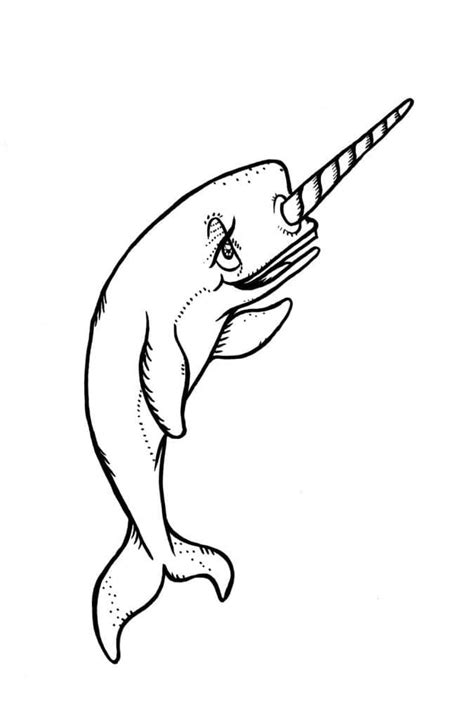 Desenhos De Narval Para Colorir E Imprimir Colorironline