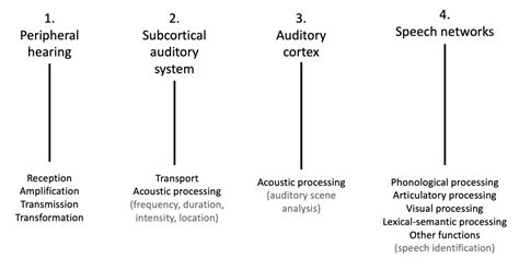 speech perception a complex ability speechneurolab