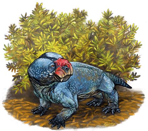 Celeskey Bulbasaurus Love In The Time Of Chasmosaurs