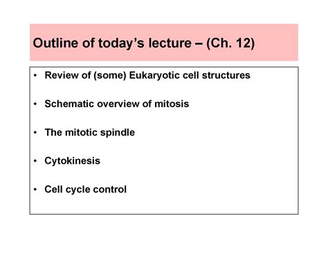 Eukaryotic Cell Structure Review Sheet Bsc 2011 Docsity