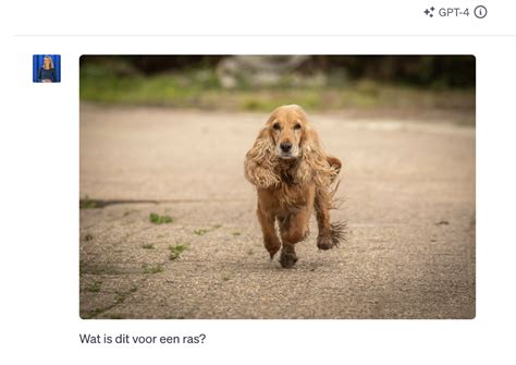 Chatgpt And Marketing 7 Concrete Toepassingen Voor Jouw Marketing