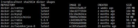 Docker拉取使用java环境docker中拉取java8的镜像 Csdn博客