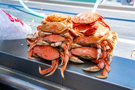 5 Best Crabbing Spots At The Oregon Coast And Crabbing Guide