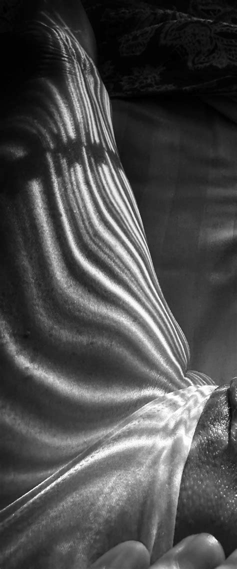 Ive Earned My Stripes Rbodyscapesgw