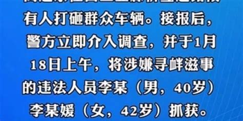 二人超车未果，高速路上打砸他人车辆，三亚警方：行拘十五日罚款1000元手机新浪网