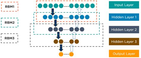 top 10 deep learning algorithms you should know in 2024