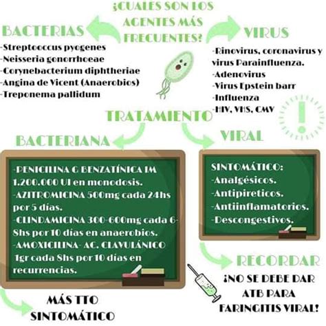 ‼faringitis Viral Vs Faringitis Microbiologia Medica