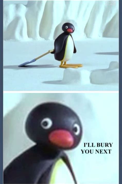 Pingu Noot Noot Meme Penguin Memes Which Pingu Are You Meme Silly