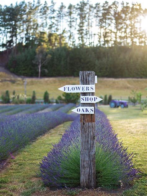 Farm Artofit