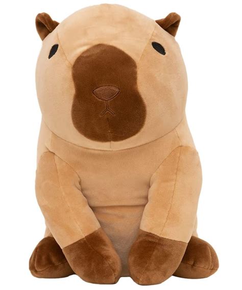 Capybara Plush Guide A Guide To Finding Your Favorite Capybara Plushie Avid Plush