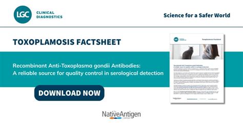 Recombinant Anti Toxoplasma Gondii Antibodies A Reliable Source For… The Native Antigen Company