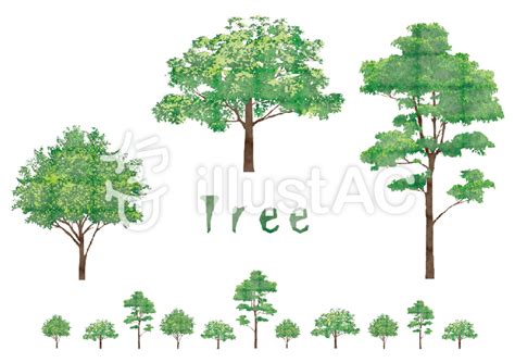 イラスト Treeイラスト No 496041／無料イラストなら「イラストac」